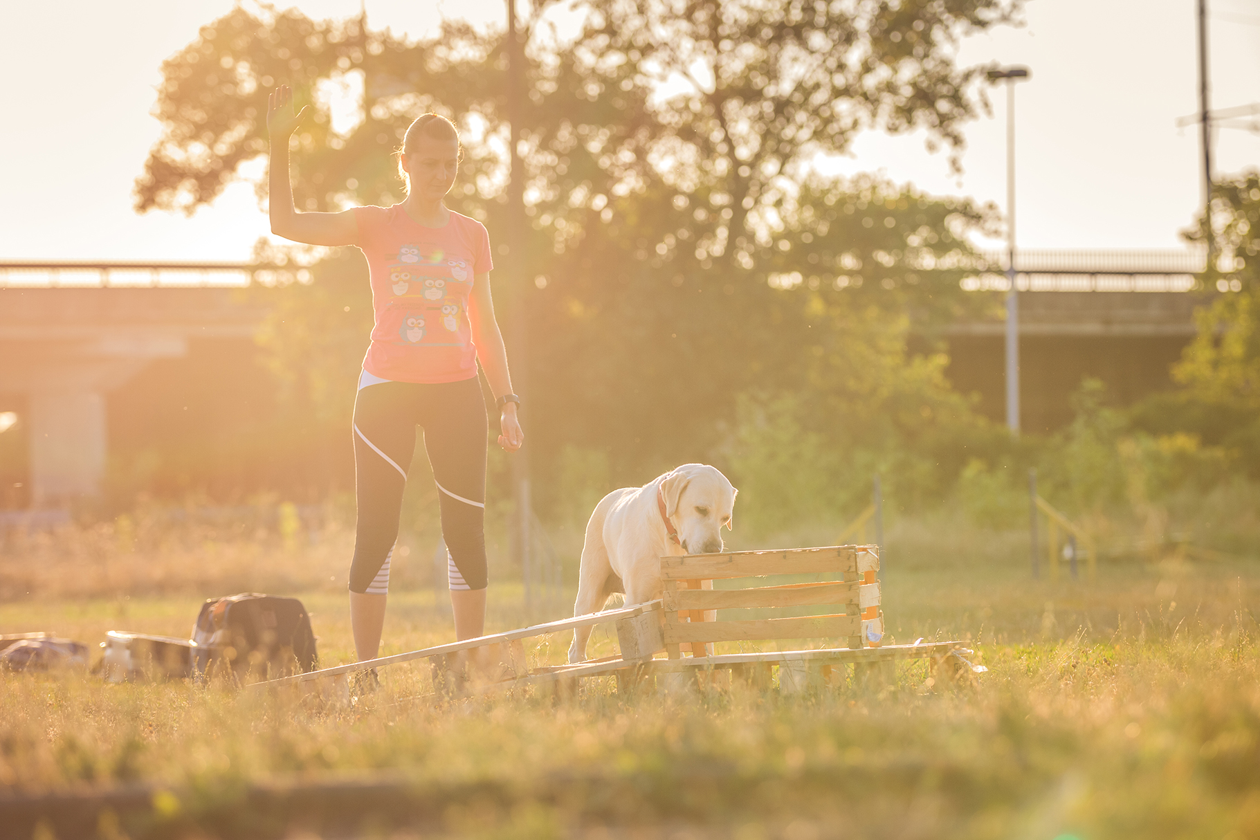 Nosework – kossp.hr