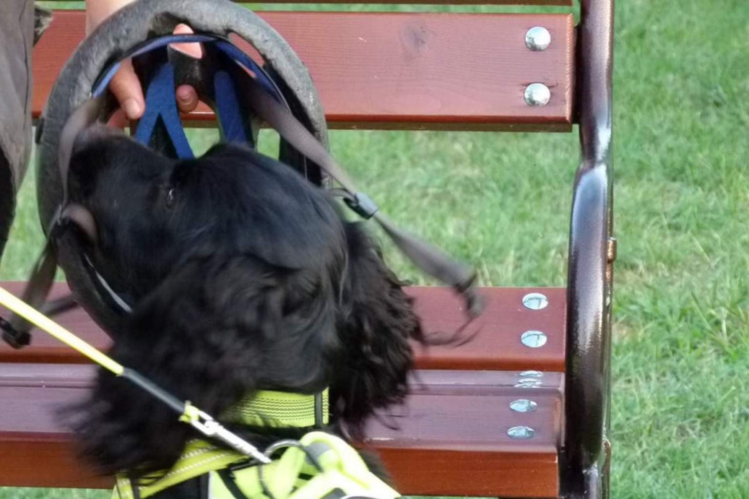 Mantrailing – kossp.hr