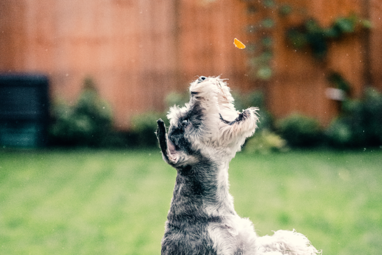 Trikovi – kossp.hr